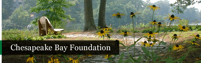 Chesapeake bay foundation