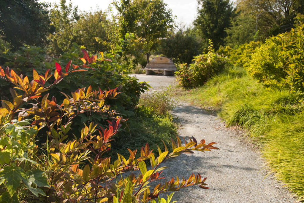Our Story - Nature Sacred
