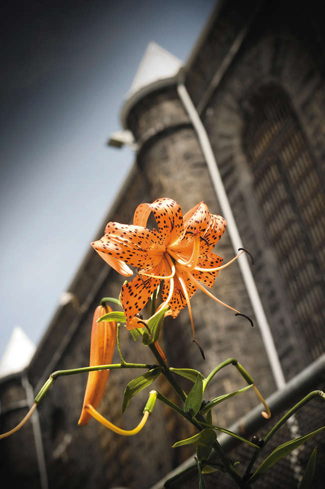 Metropolitan Transition Center - Nature Sacred