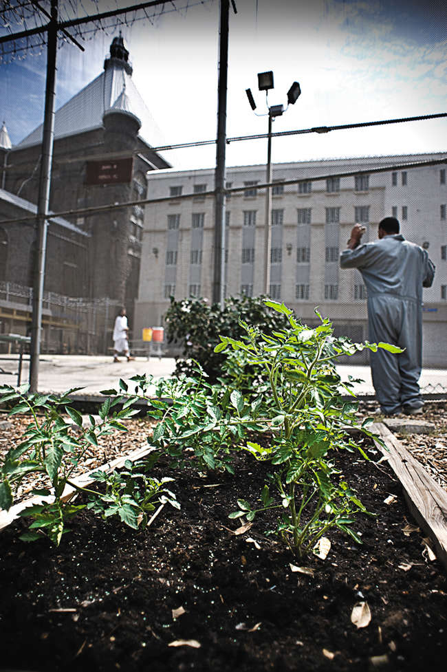 Metropolitan Transition Center - Nature Sacred