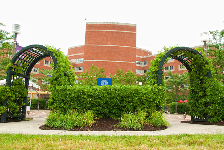 Healing Garden and Labyrinth at Johns Hopkins Bayview Medical Center ...