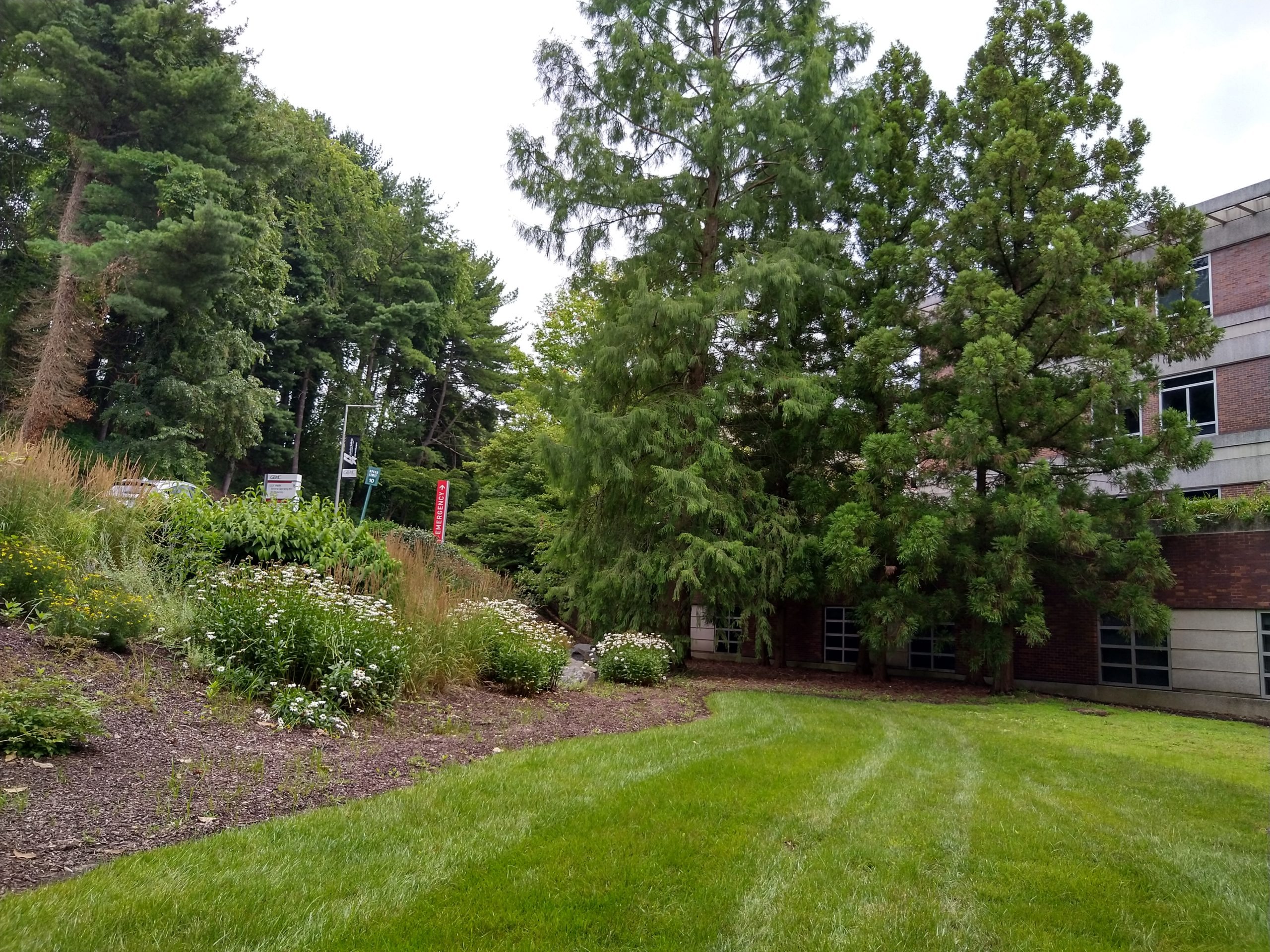 David Brierley - Nature Sacred