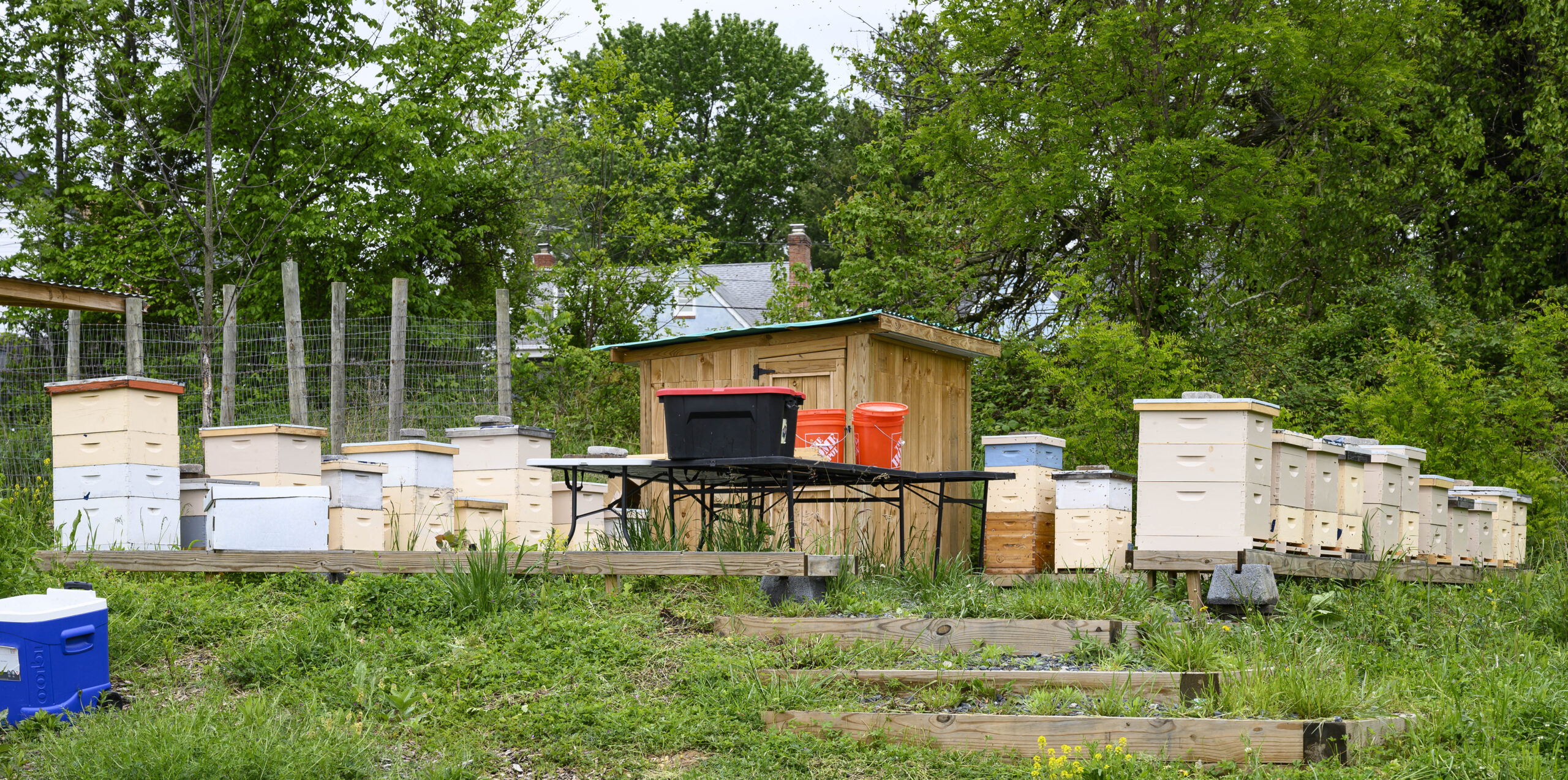 Baltimore Community Farm Tour | April 2023 - Nature Sacred