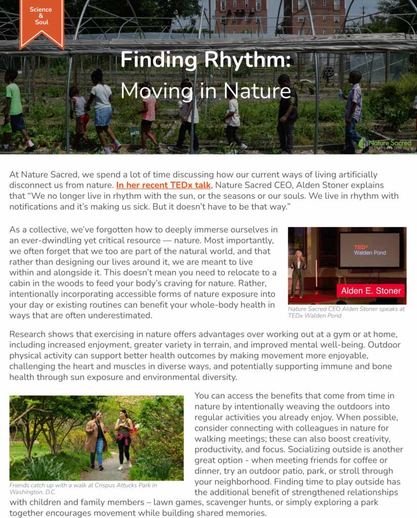 Finding Rhythm: Moving in Nature - Nature Sacred